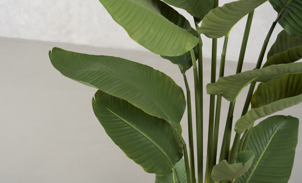Декоративное искусственное дерево Traveler Banana Tree, выс. 180 см ...